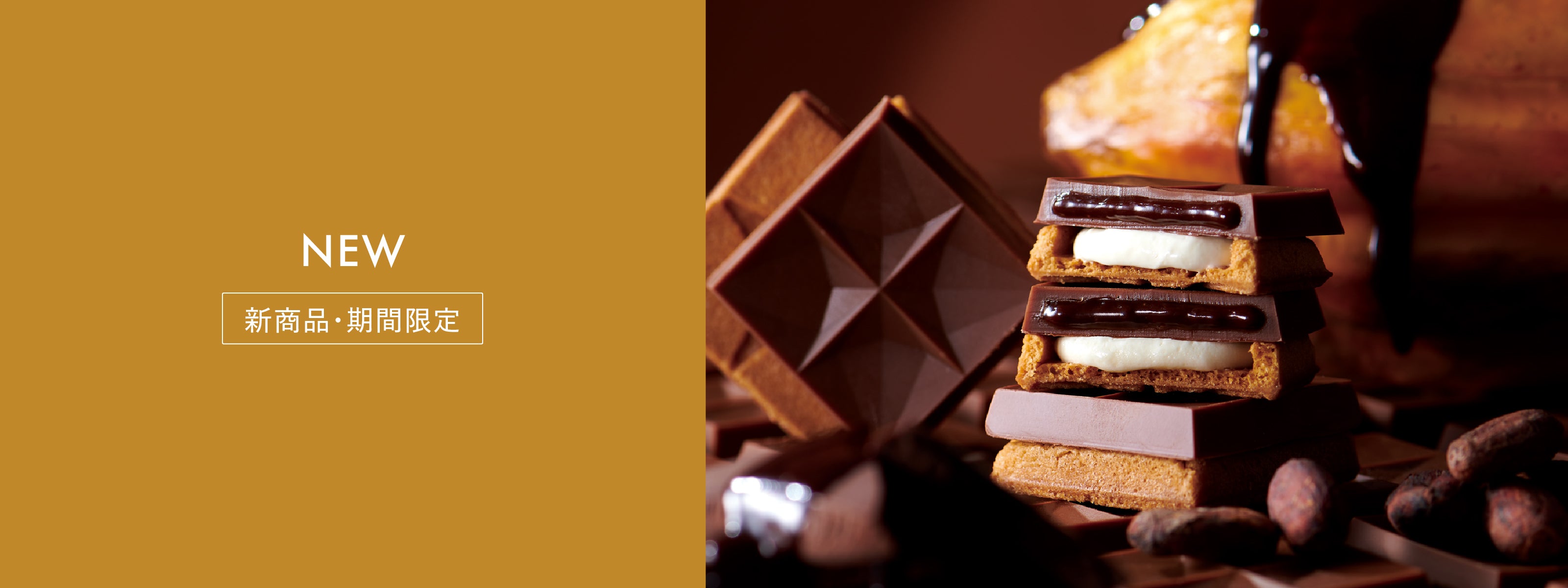 10月発売の新商品